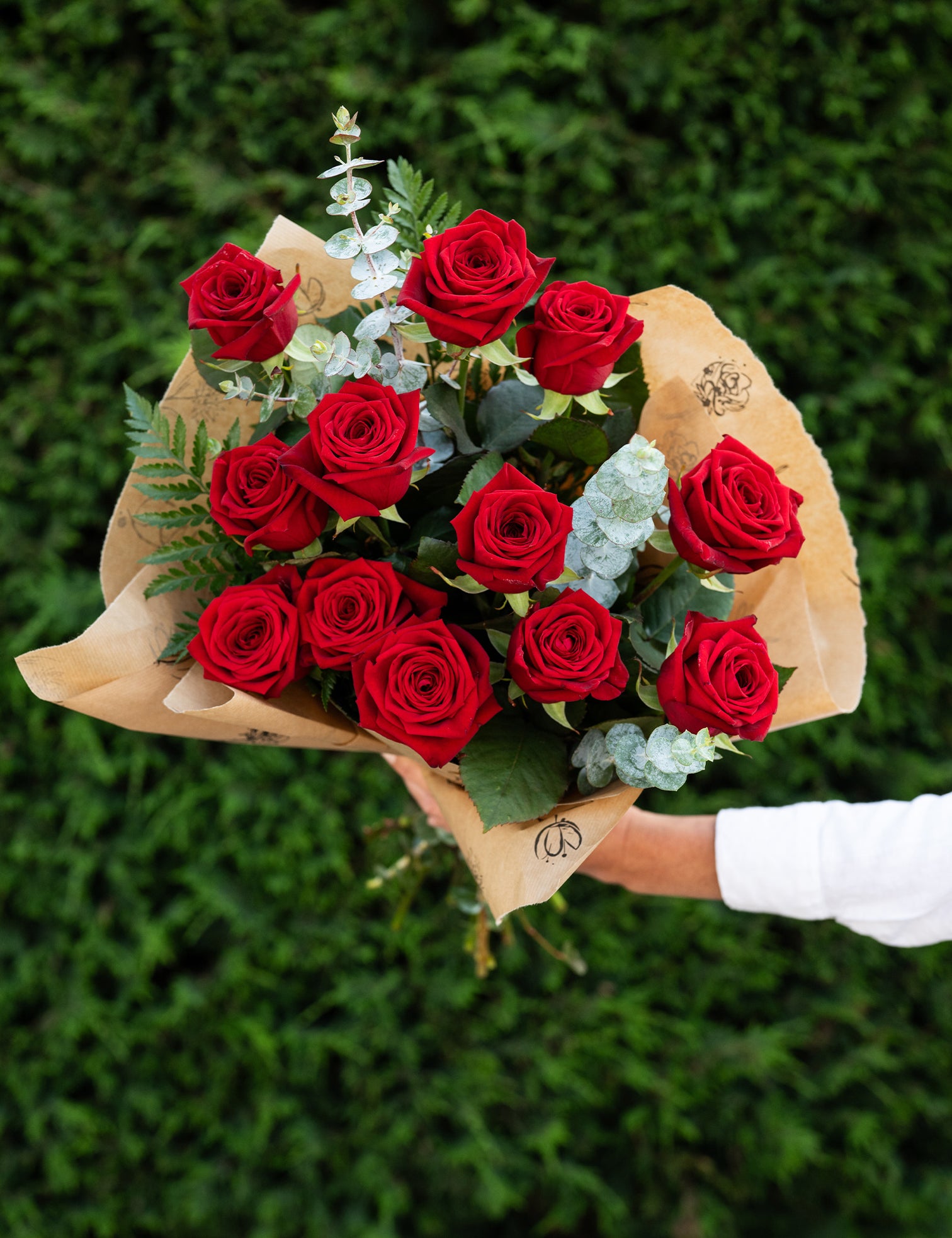 A Dozen Roses – Eurosa Farms