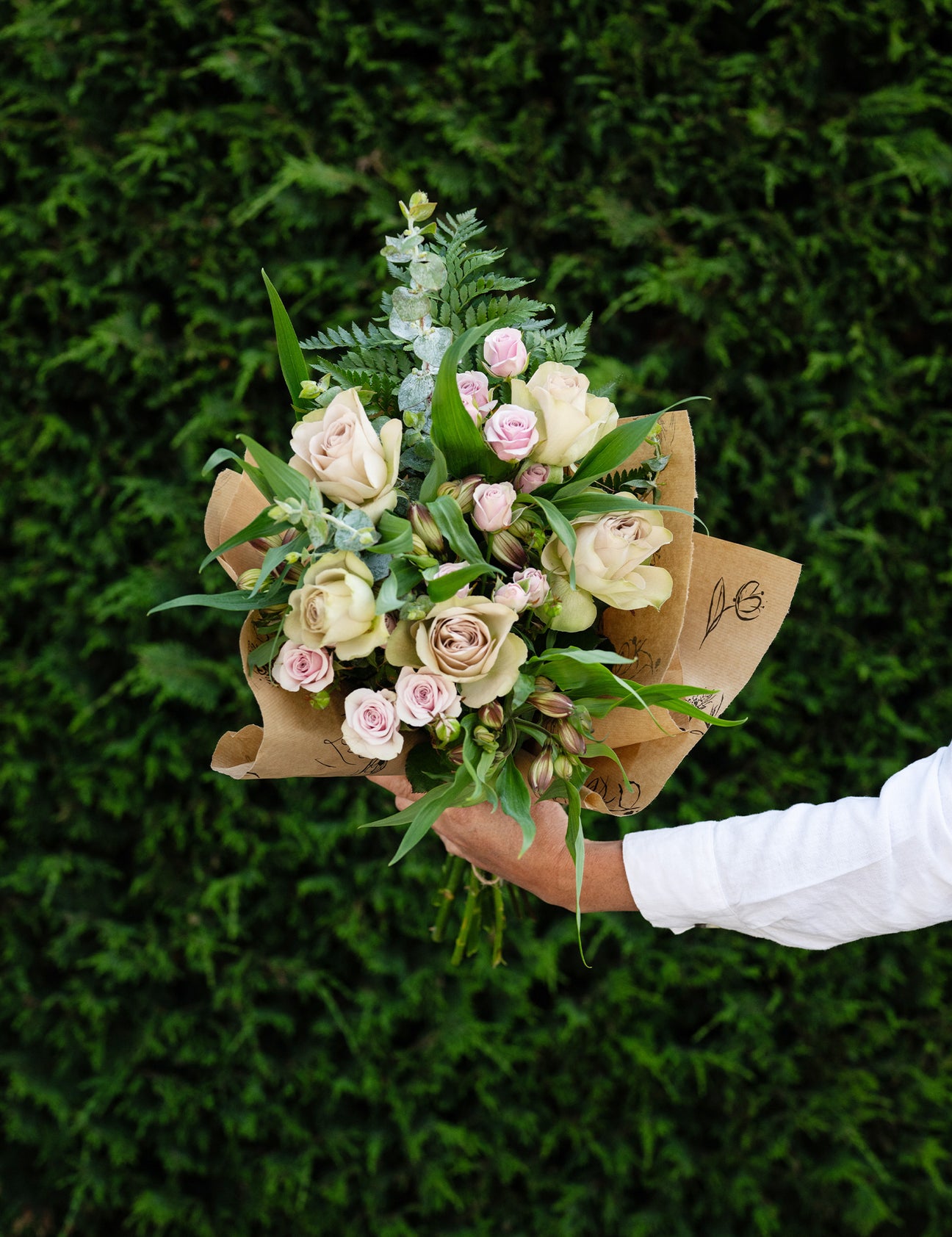 Eurosa Fresh Malahat Mist – Eurosa Farms